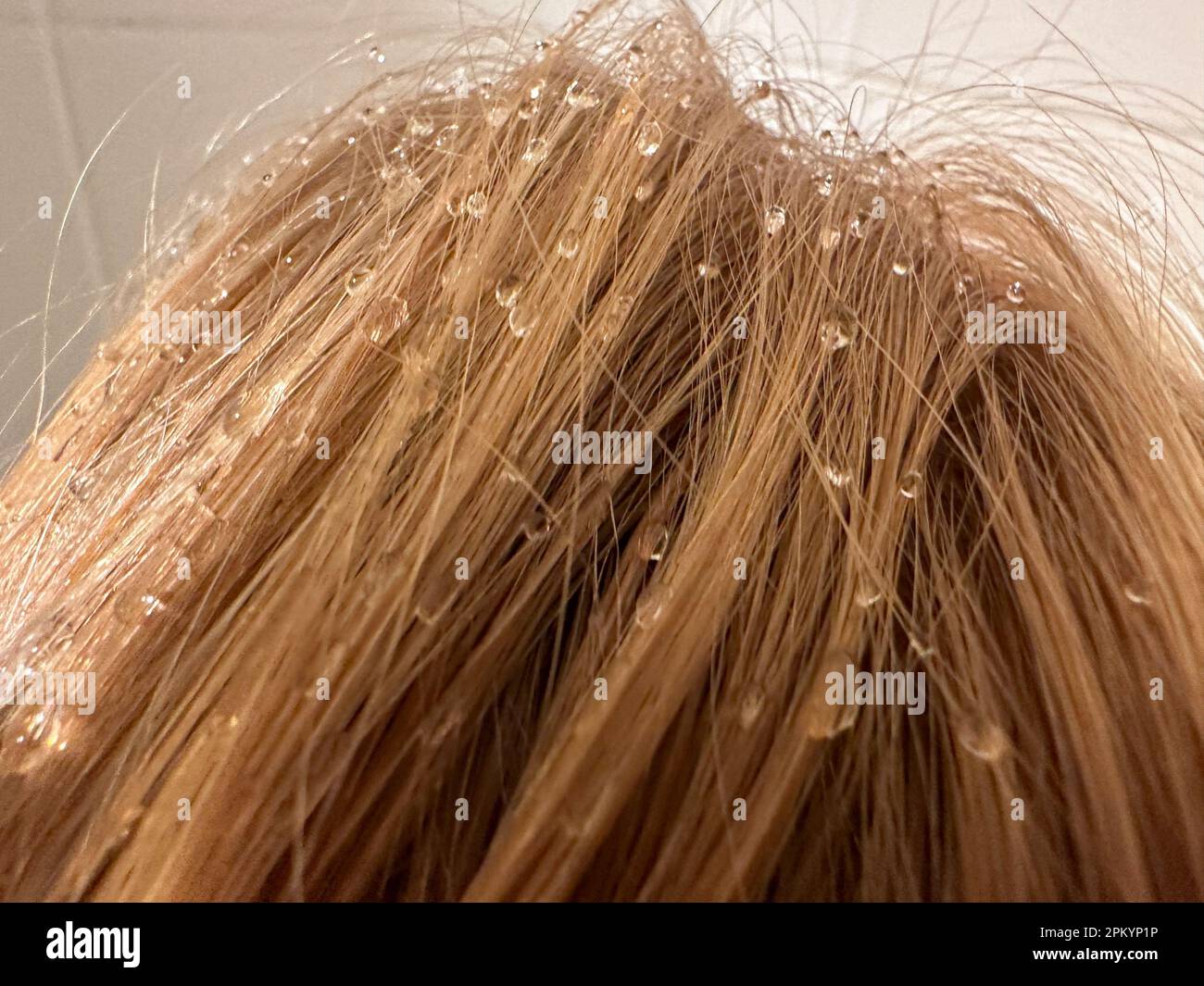 A womans hair hi-res stock photography and images - Alamy