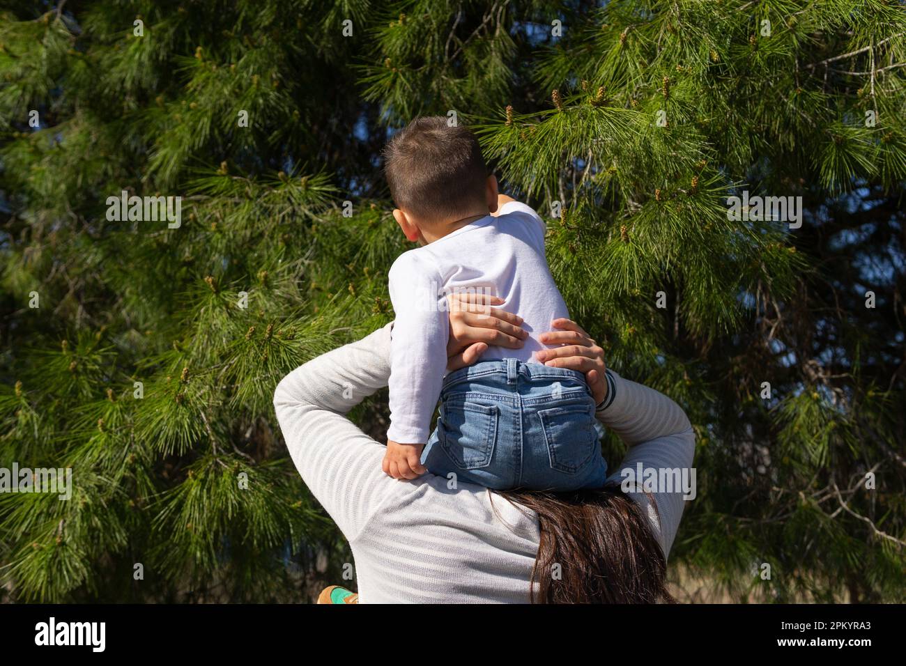 Boy touching tree in forest hi-res stock photography and images - Alamy