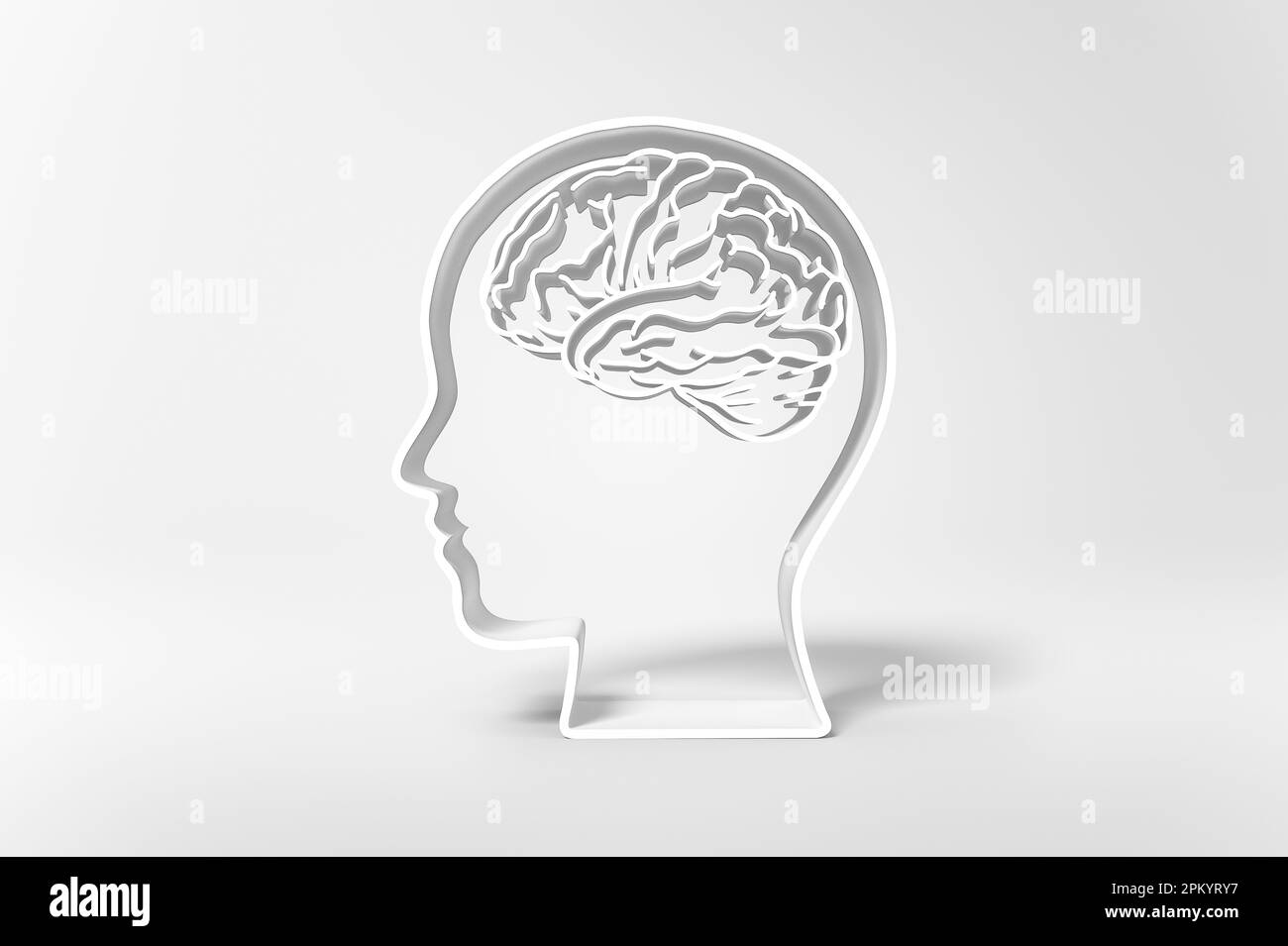 Brain placed inside of empty human head shape with shadow isolated on ...