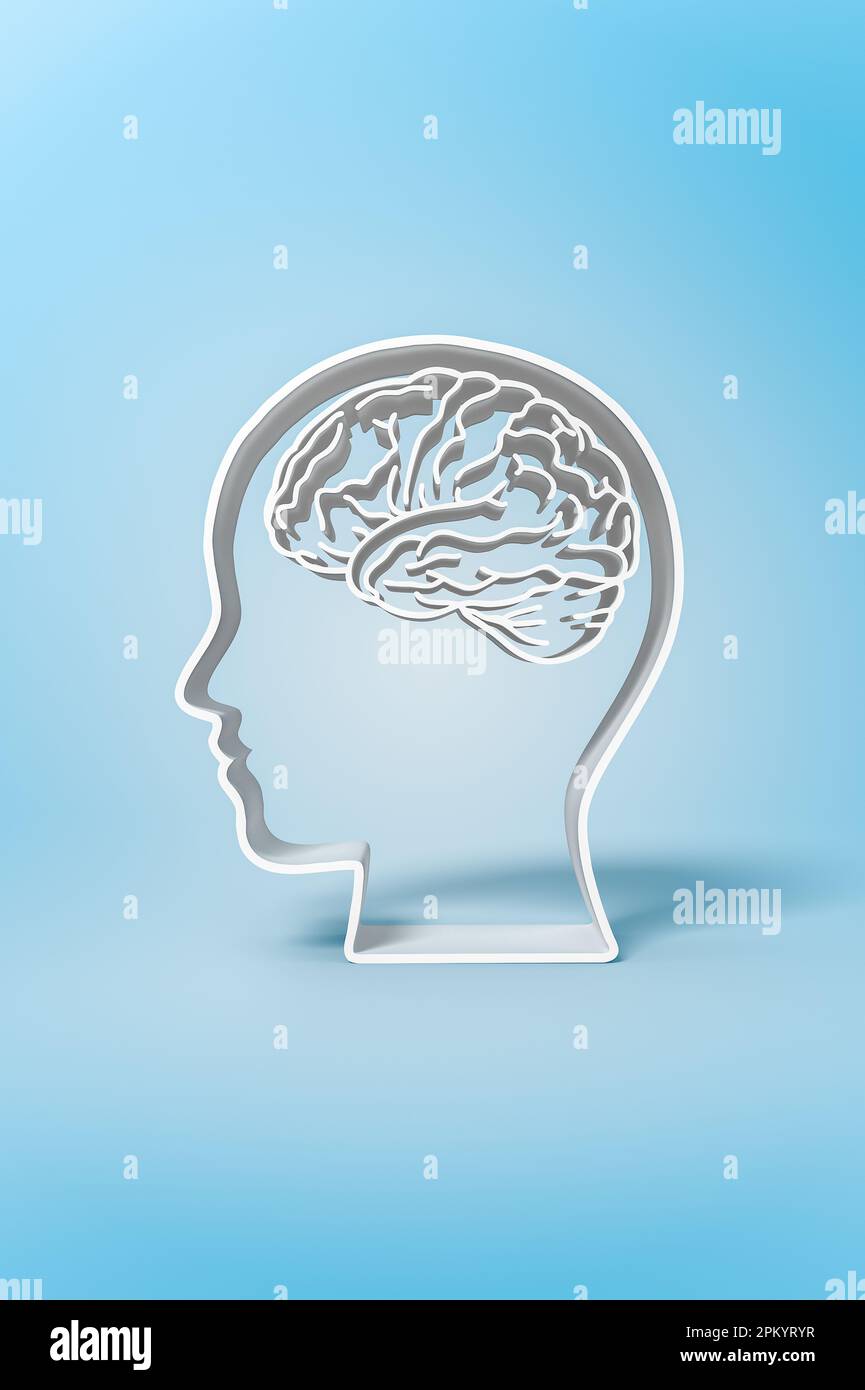 Brain placed inside of empty human head shape with shadow isolated on ...