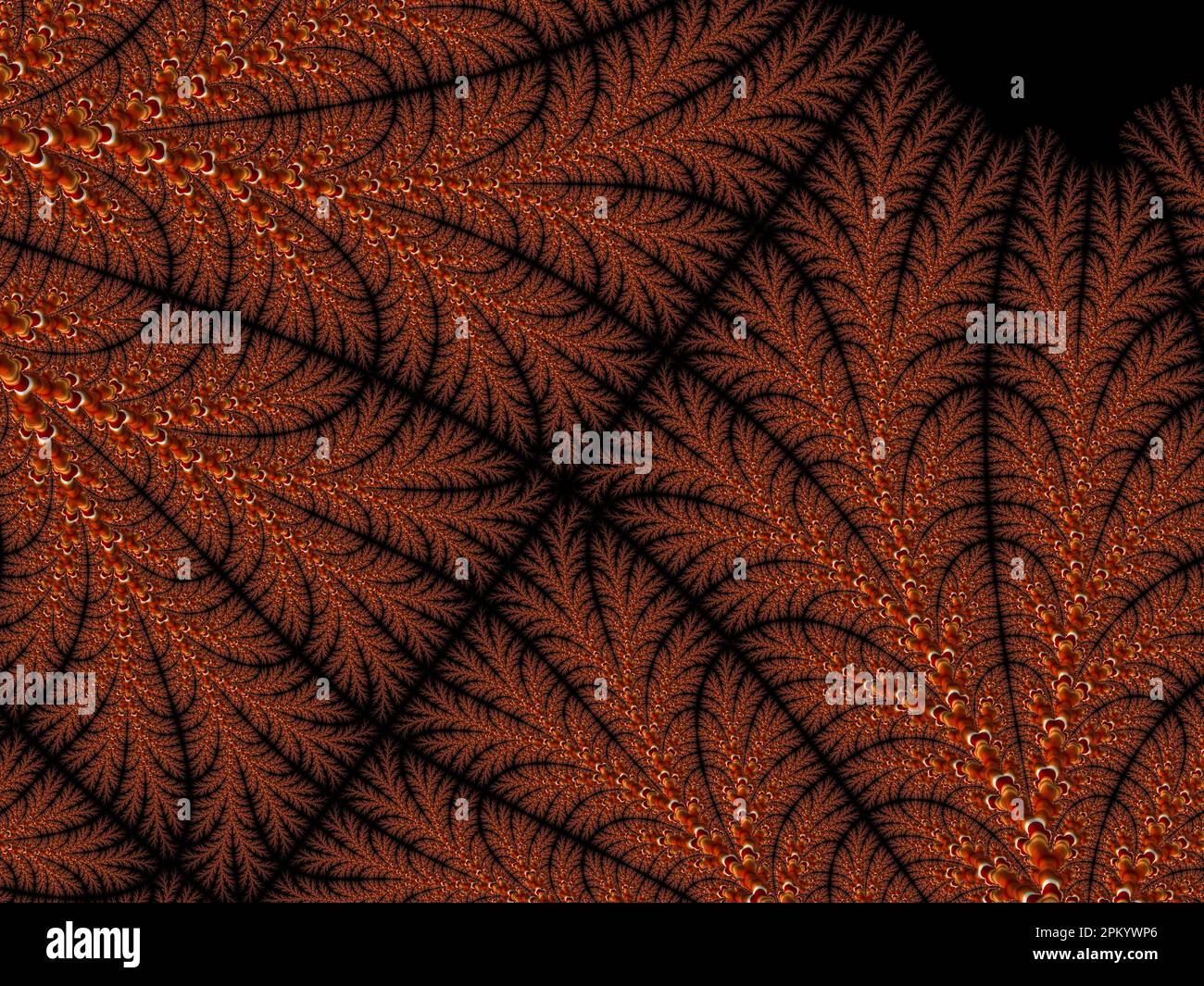 Abstract background of ornamental lines on orange background for lure ...