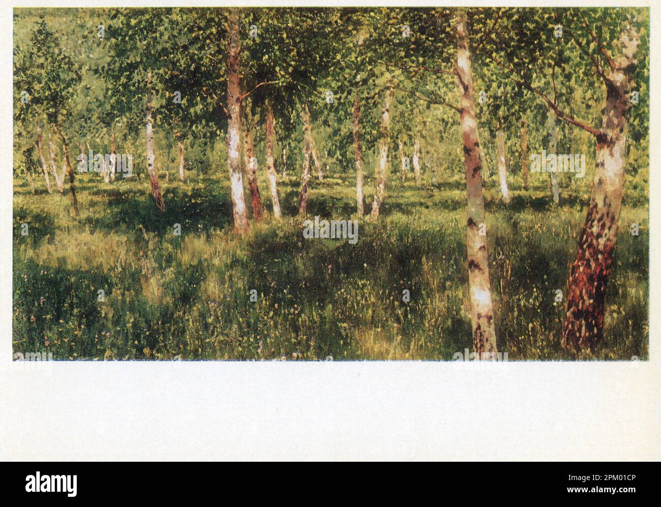 Old Vintage postcard of the USSR, 1971. "The Birch Grove" by Isaac ...