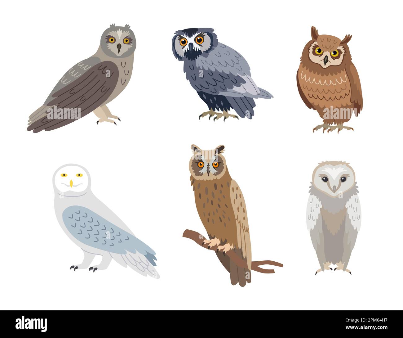 White, grey and brown owls cartoon illustration set Stock Vector Image ...