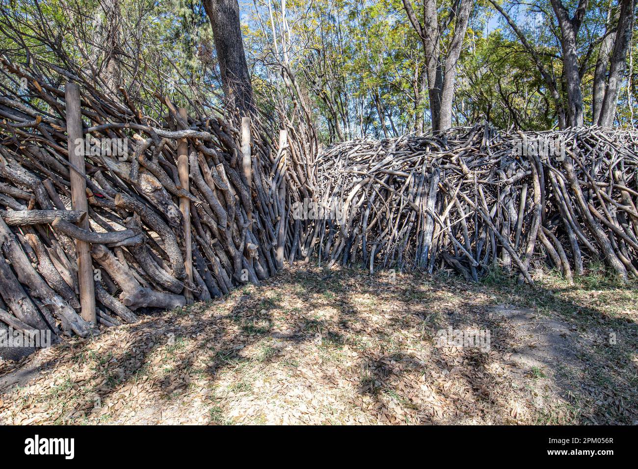 Intersection of two rustic ecological fences against green foliage and ...