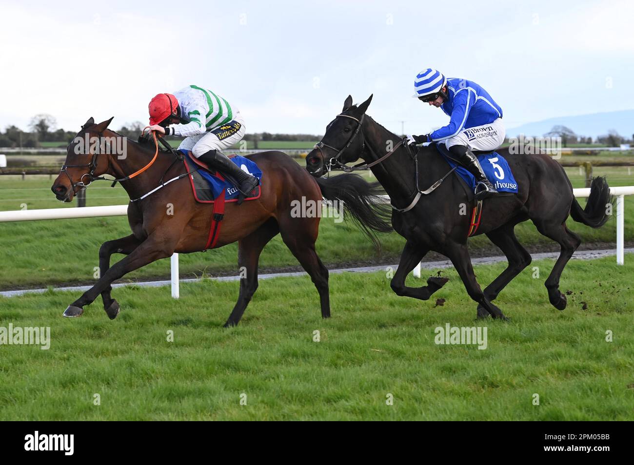Firefox horse hi-res stock photography and images - Alamy