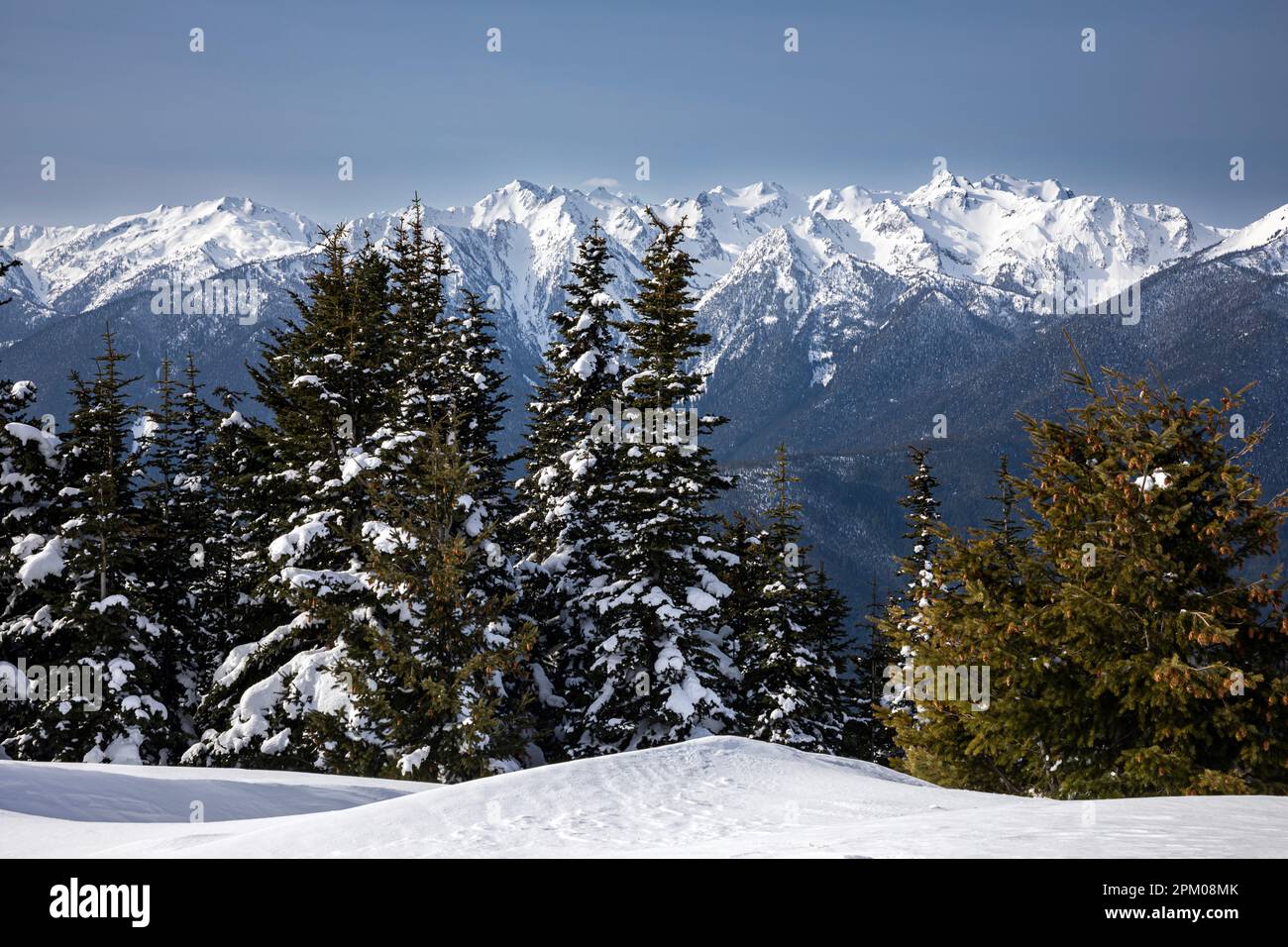 Above the elwha river hi-res stock photography and images - Alamy