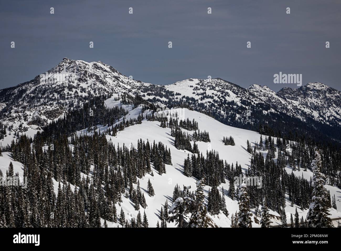 WA23299-00...WASHNGTON - Snow covered Sunrise Ridge, Mount Angeles and ...