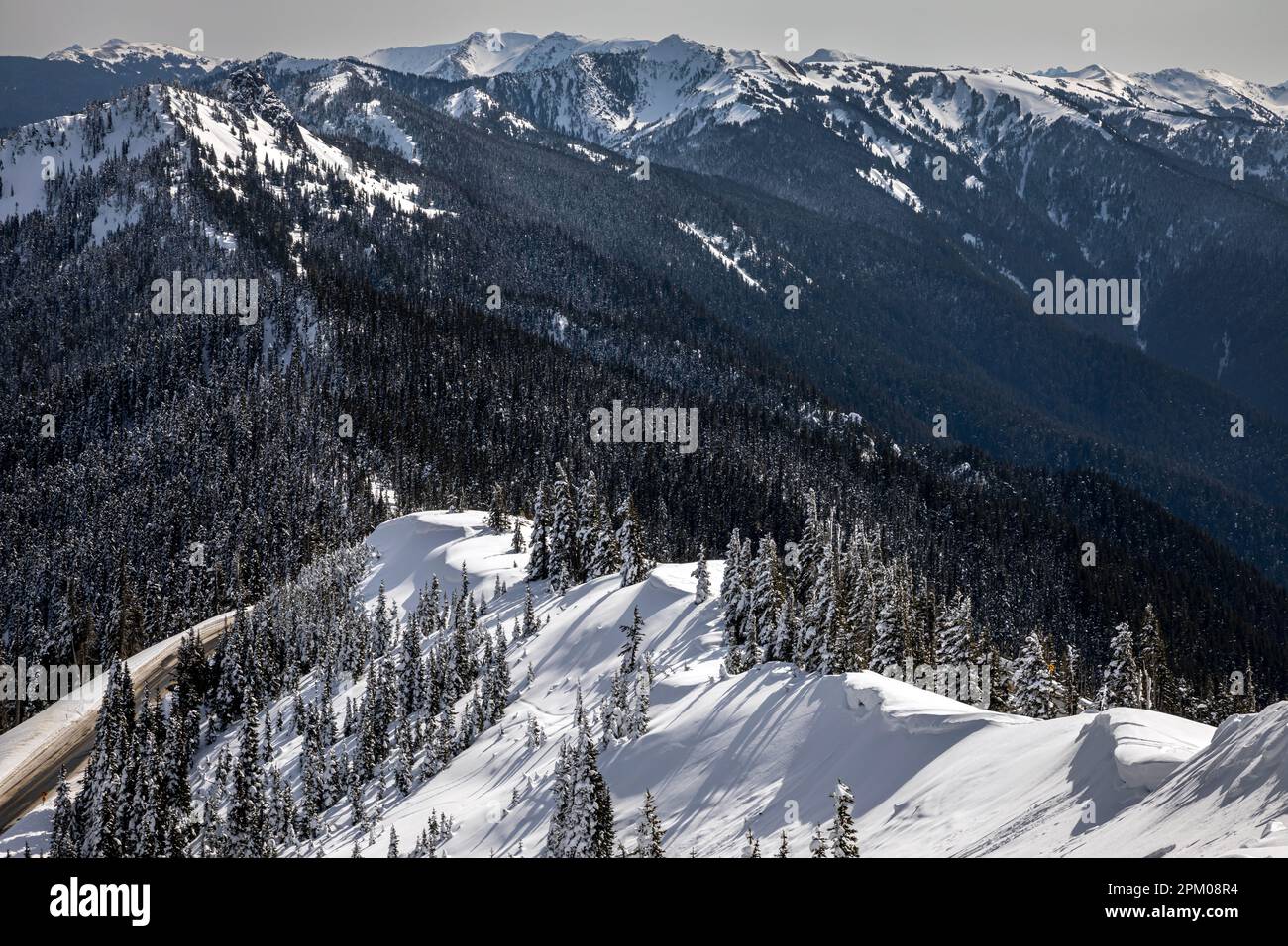 WA23302-00...WASHINGTON - View from Hurricane Ridge over the ...