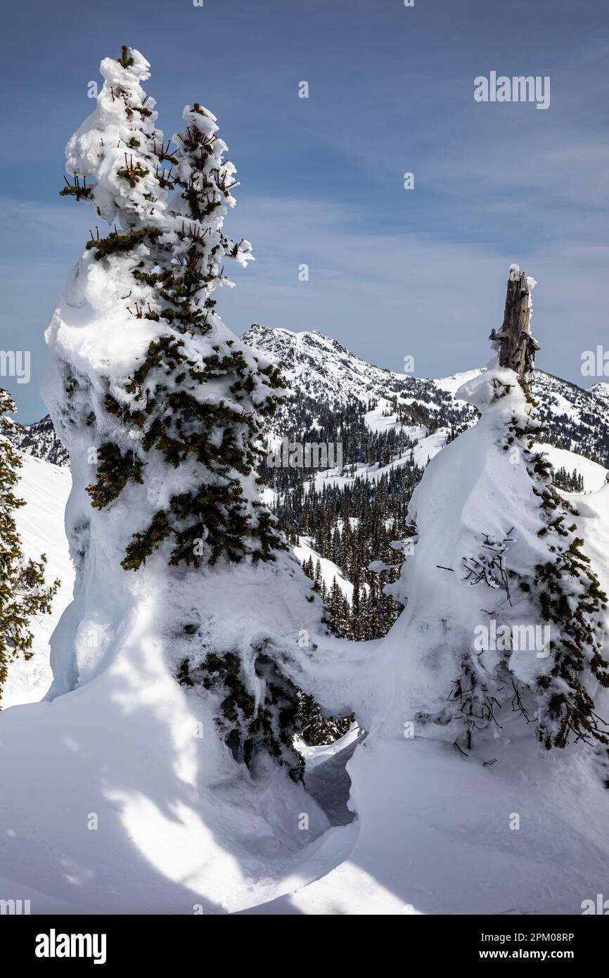 Hurricane ridge olympic national park hi-res stock photography and ...
