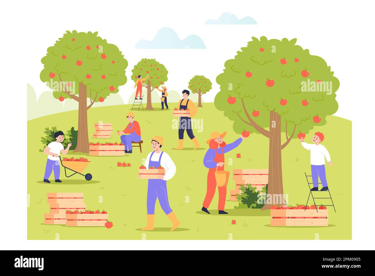 People picking apples from trees flat vector illustration Stock Vector ...