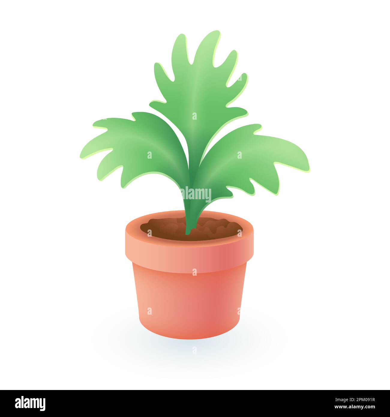 Graphic three plant growth hi-res stock photography and images - Alamy