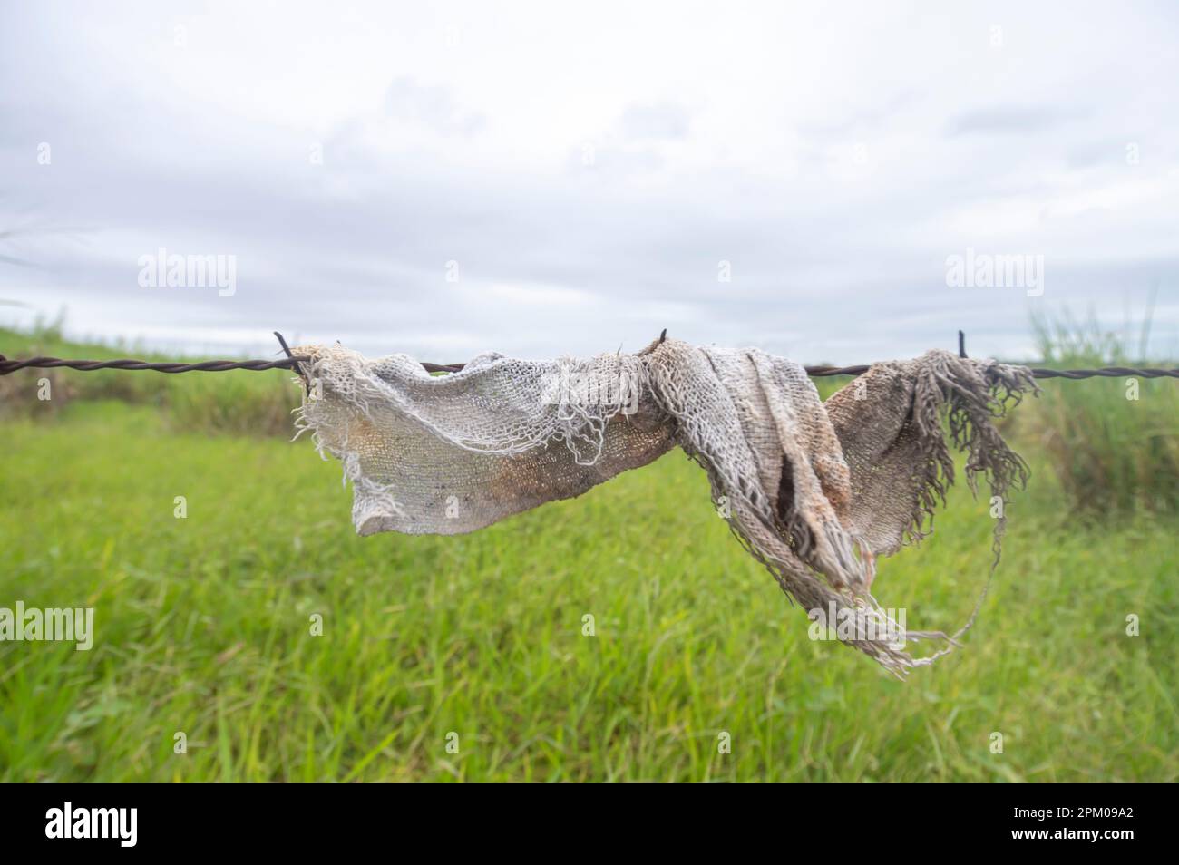 Old cloth stuck in a fence with vegetation in the background on a ...