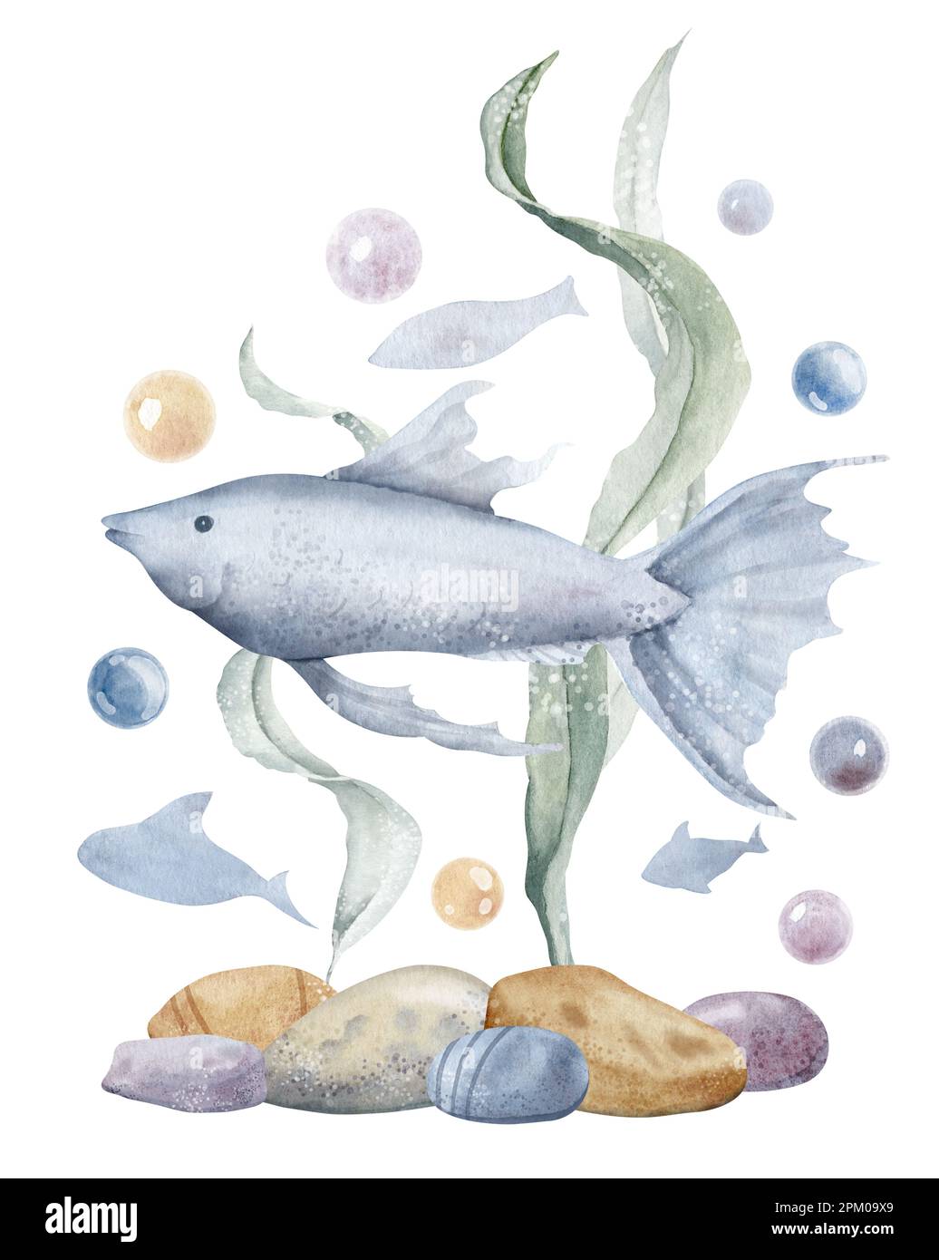 Underwater Fish Tumblr