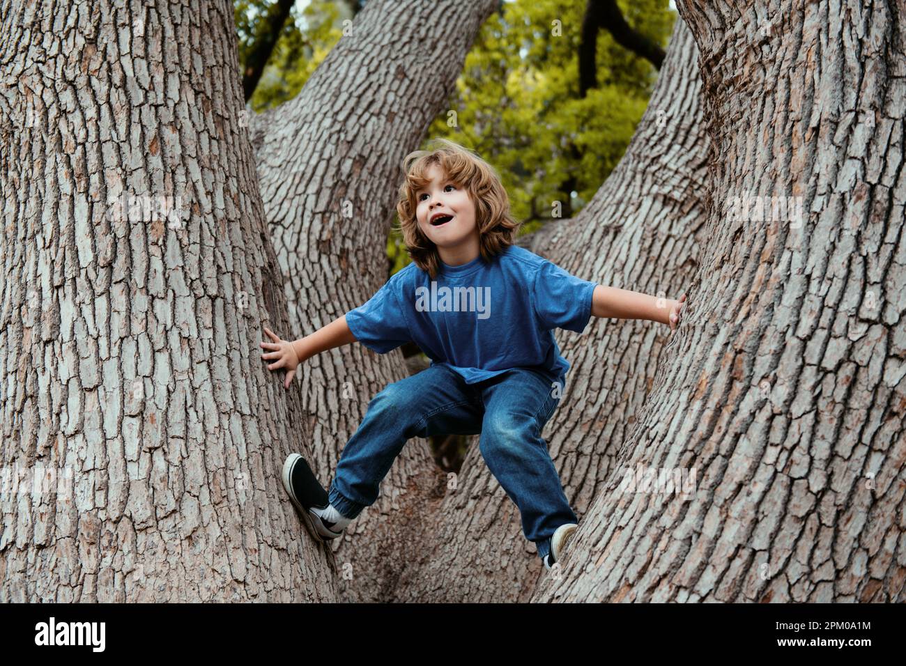 Little cute boy, climbing the tree in nature. Kids playing outdoor ...