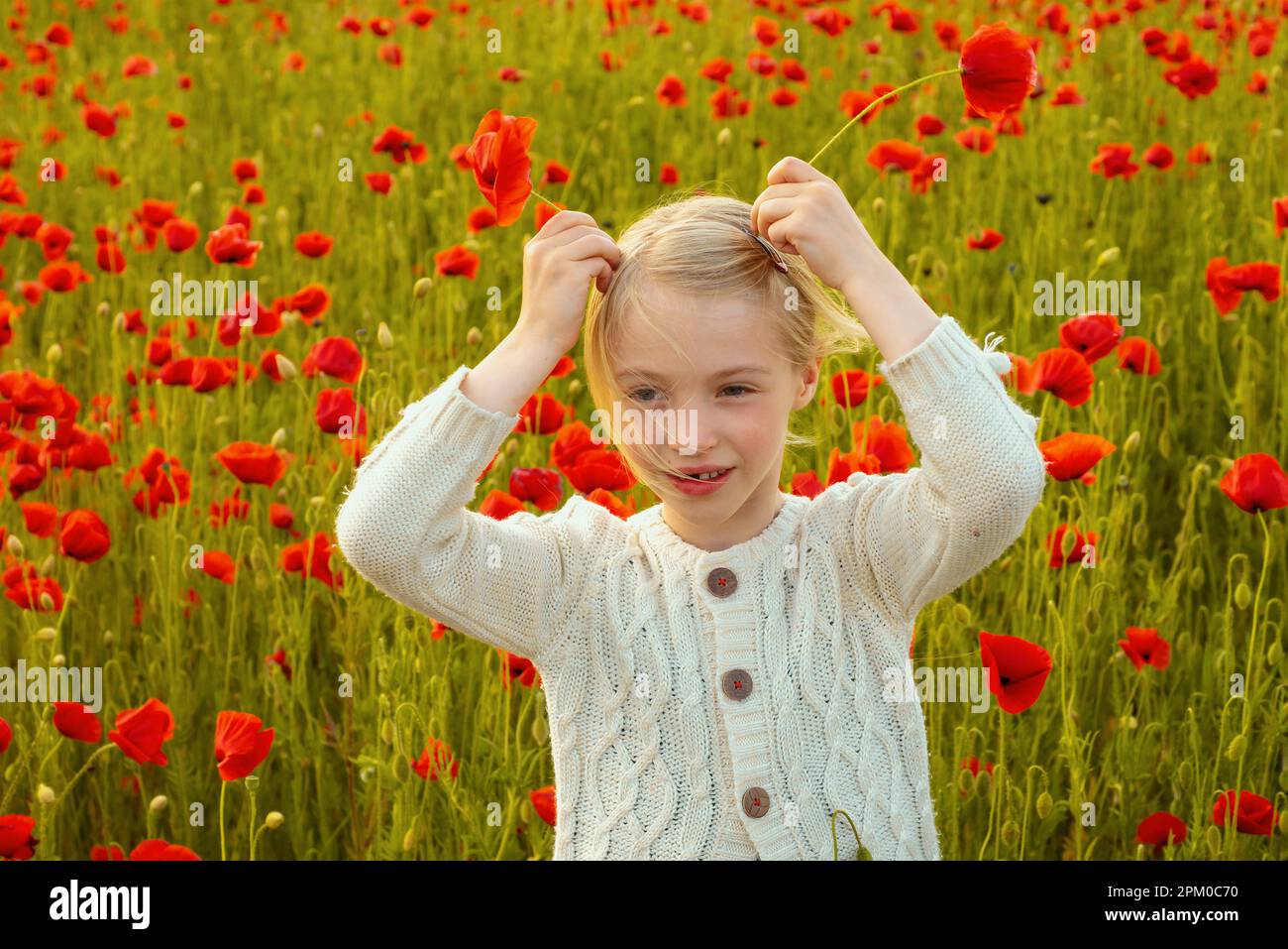 Little girl on the poppies meadow. Beautiful daughter on a poppy field ...