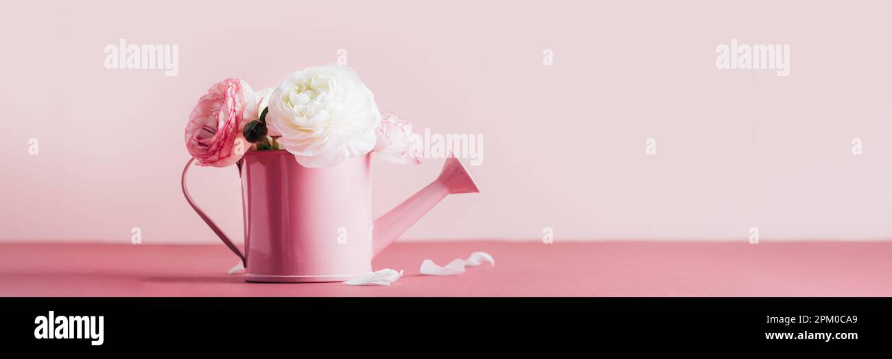 Floral arrangments of tender ranunculus flowers Stock Photo - Alamy