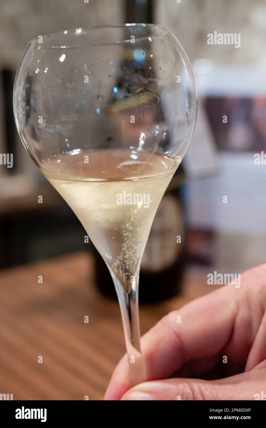 Tasting glass with cold brut Champagne sparkling wine in cellars of ...