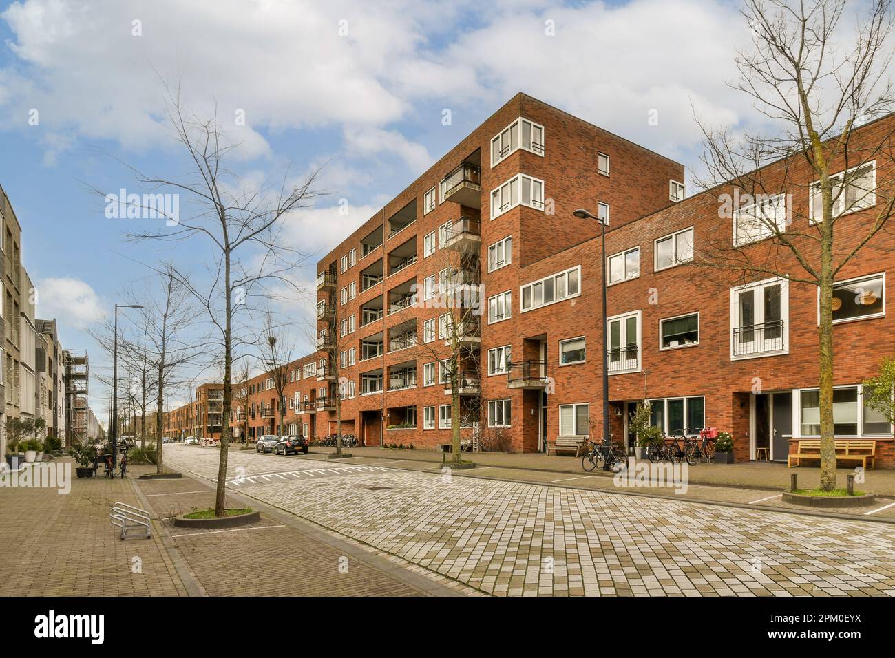 a bricked street in the middle of an urban area with trees and ...