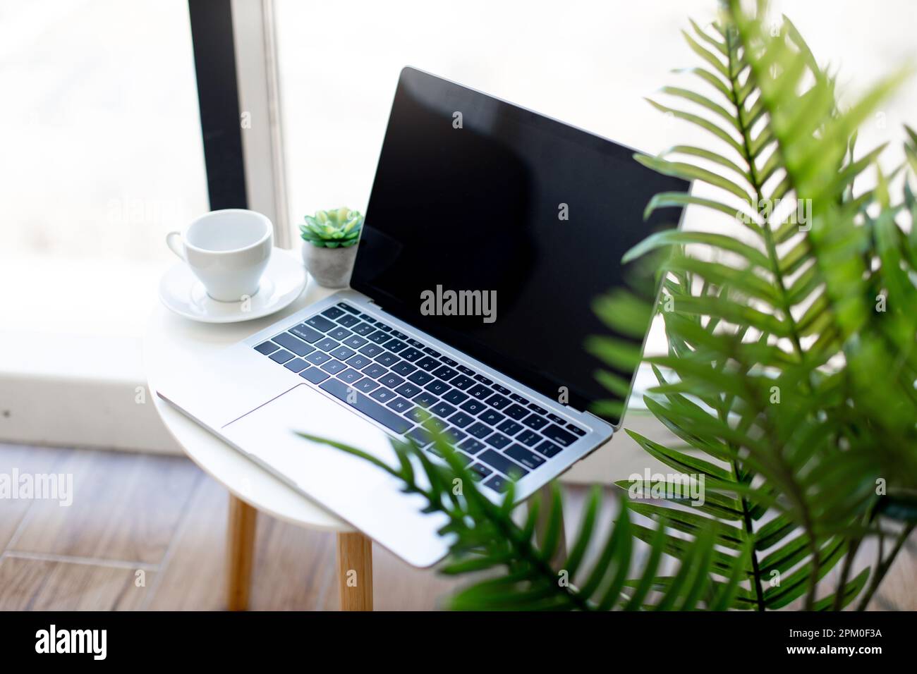 Wireless laptop placed on coffee table near white ceramic cup at bright ...