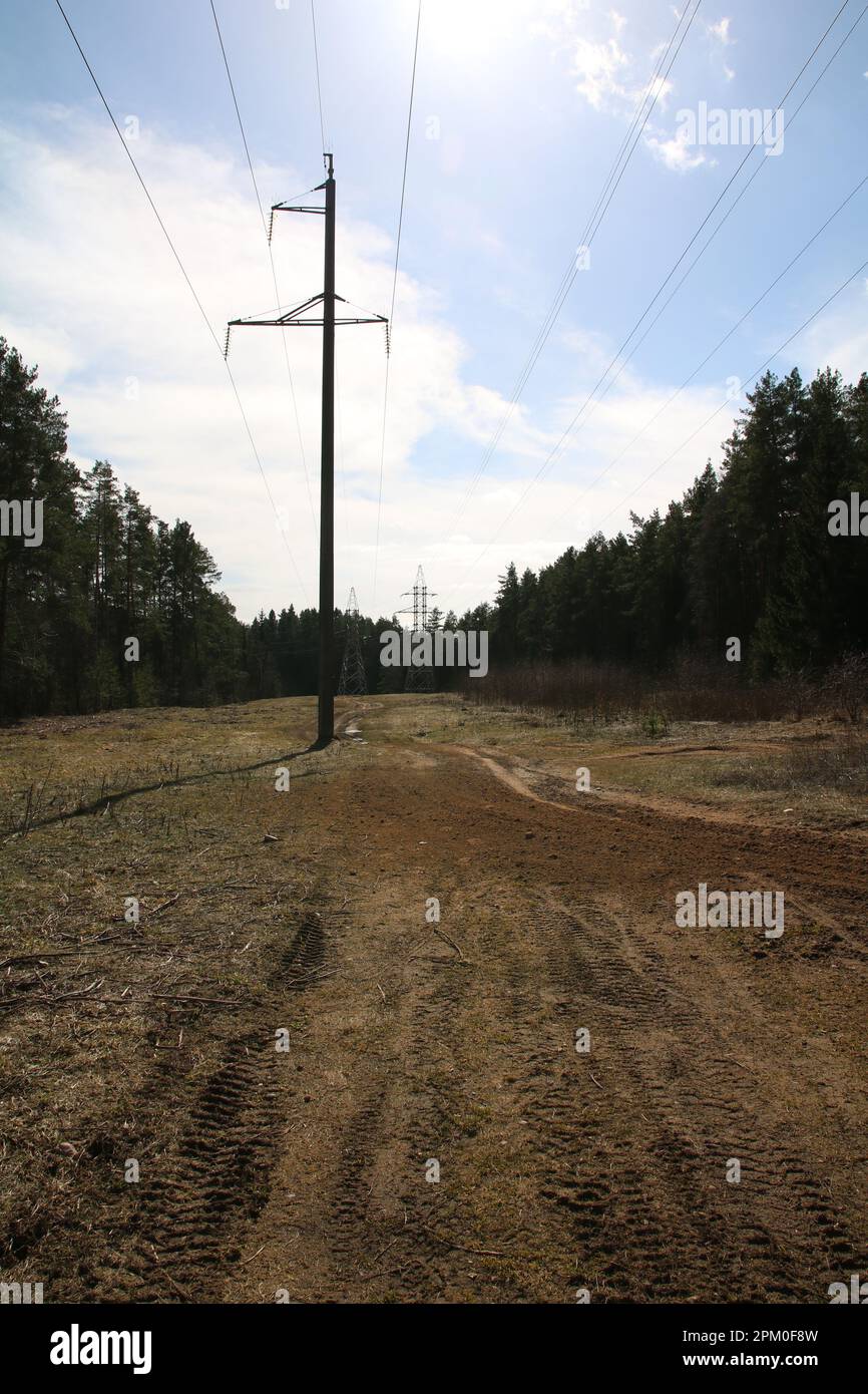 photo of the electric grid in the woods in the daytime Stock Photo - Alamy