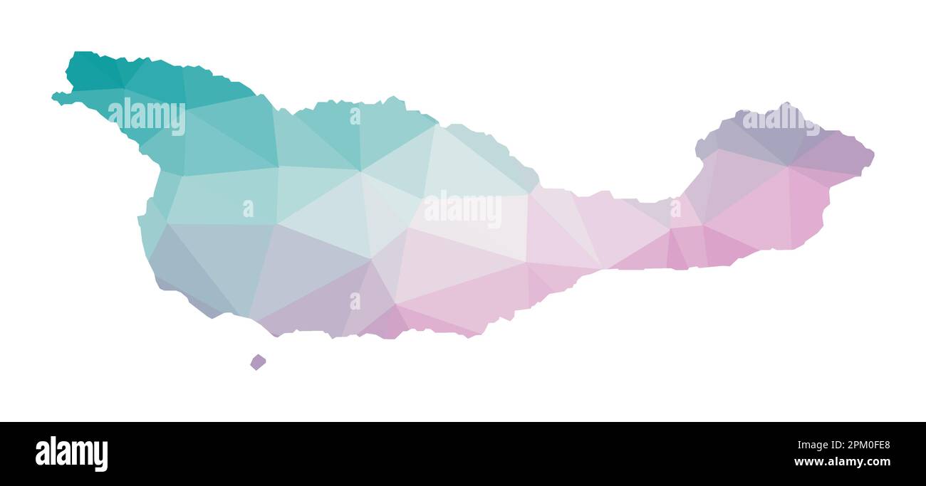 Polygonal map of Santa Cruz Island. Geometric illustration of the ...