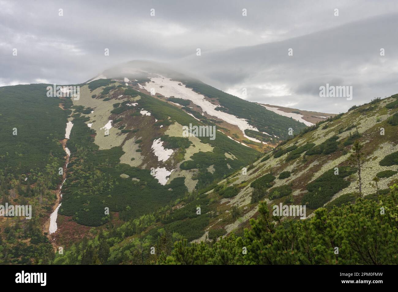Velky Krivan, mountain in Mala Fatra, Slovakia, view from path under ...
