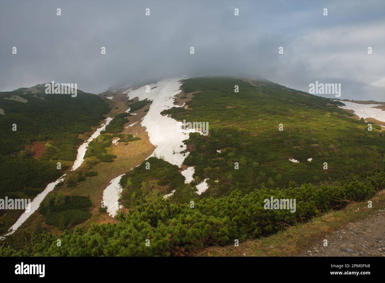 Velky Krivan, mountain in Mala Fatra, Slovakia, view from path under ...