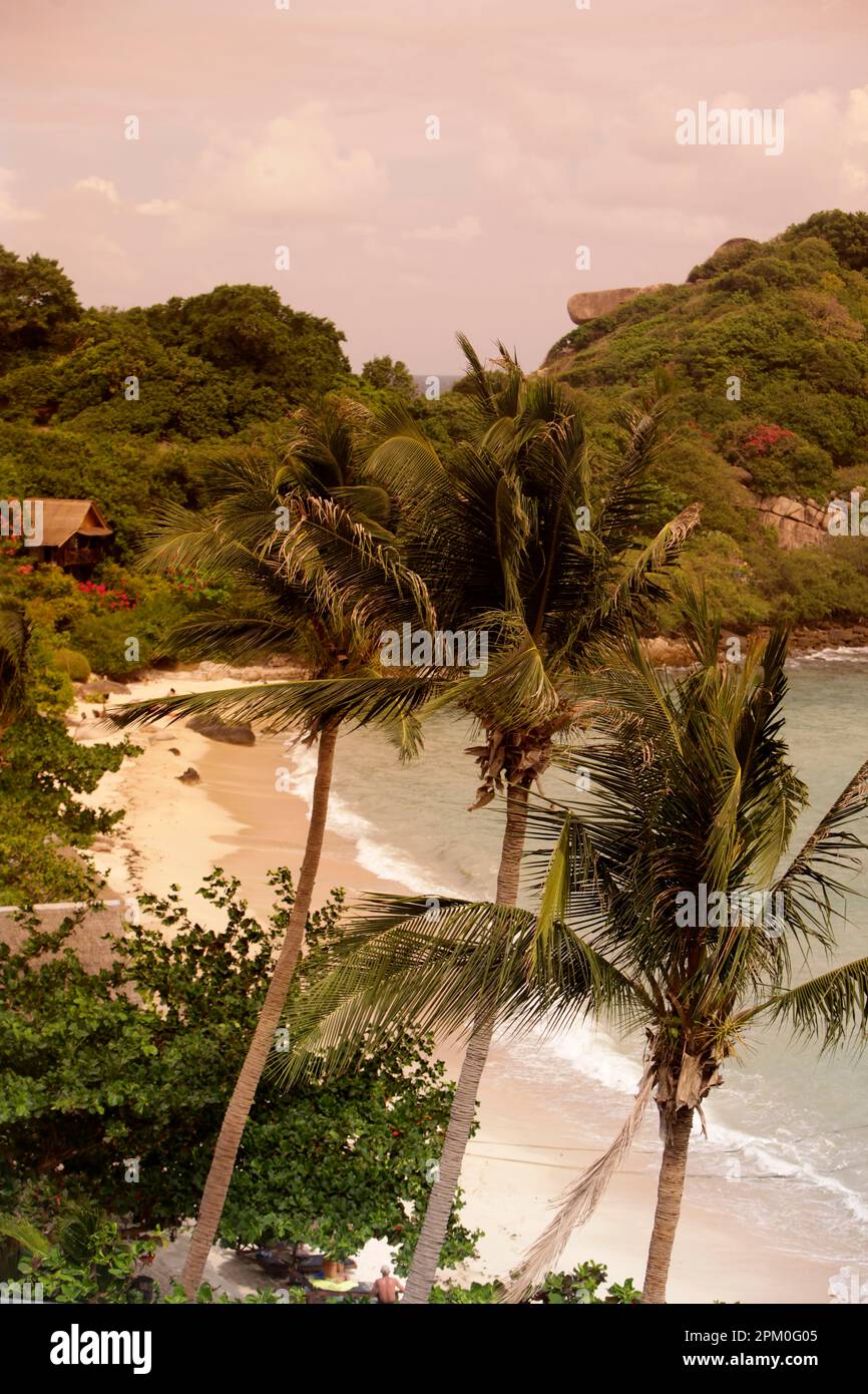 a Beach and Coast near the Town of Sairee Village on the Ko Tao Island ...
