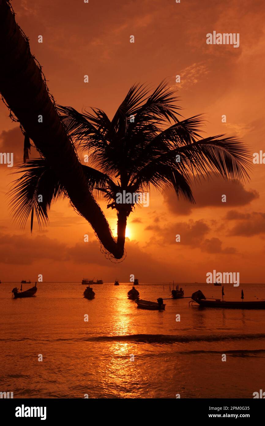 a Palmtree at Beach and Landscape of Sairee Beach at the Town of Sairee ...