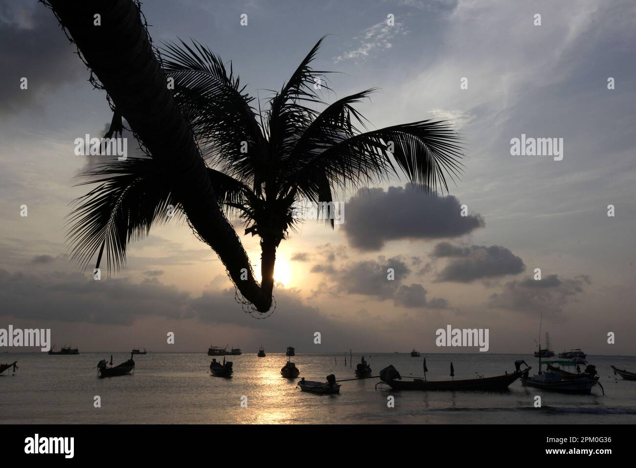 a Palmtree at Beach and Landscape of Sairee Beach at the Town of Sairee ...