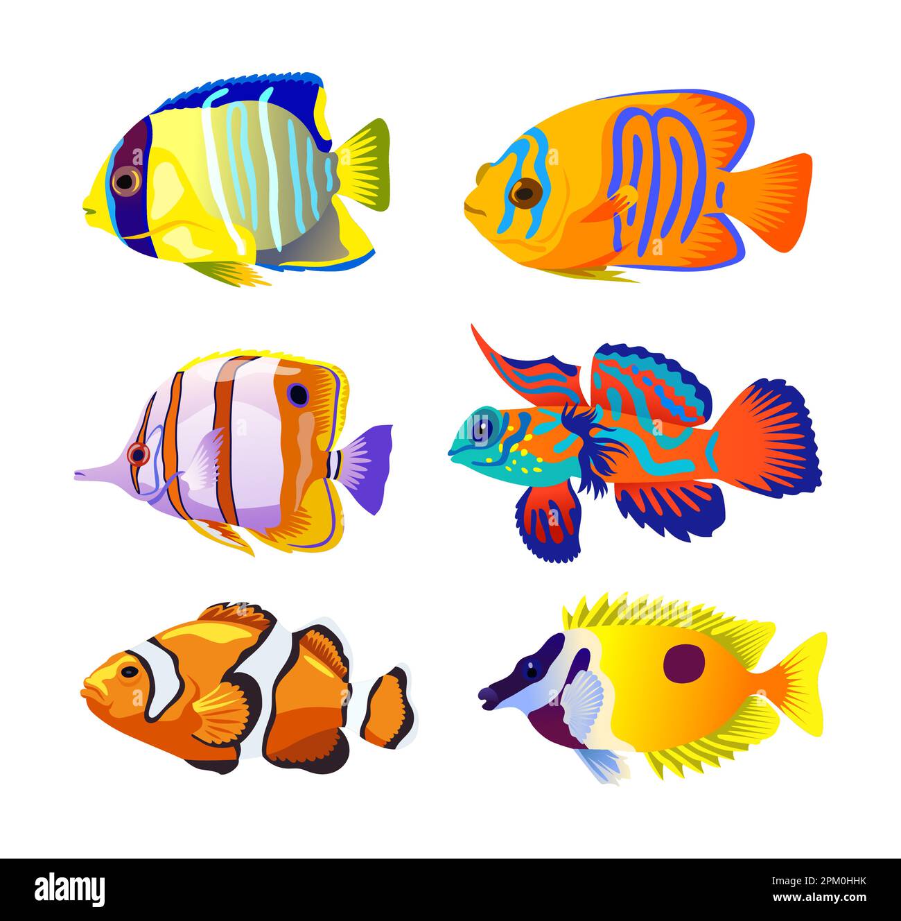 Colorful coral fish on white background cartoon illustration set Stock ...