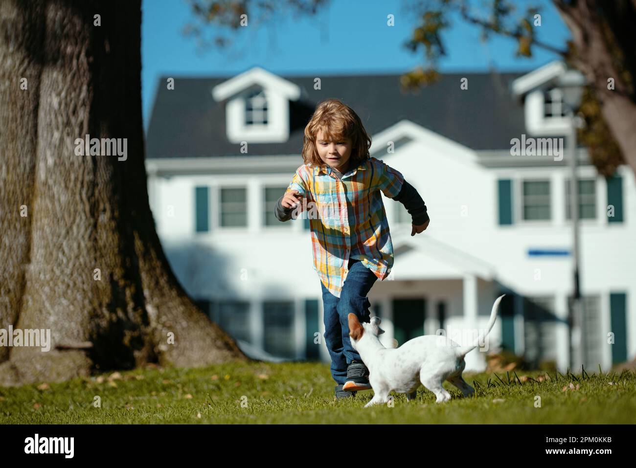 Kid boy with dog walking and running outdoor. Child with a pet runs to ...