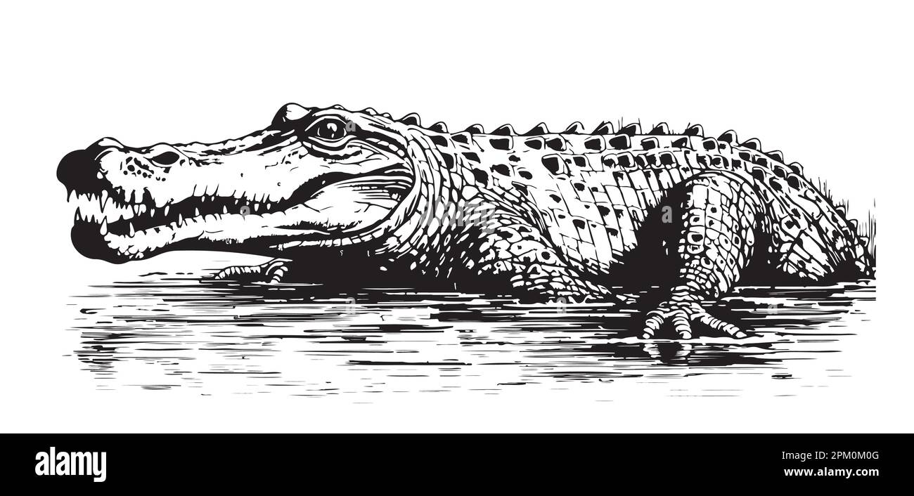Crocodile sketch hand drawn in doodle style illustration Stock Vector ...