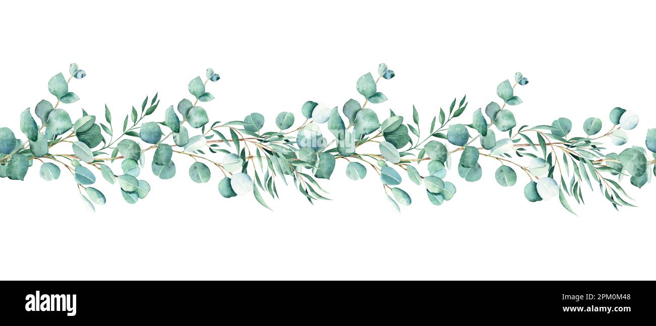 Horizontal watercolor floral seamless border pattern. Eucalyptus and ...