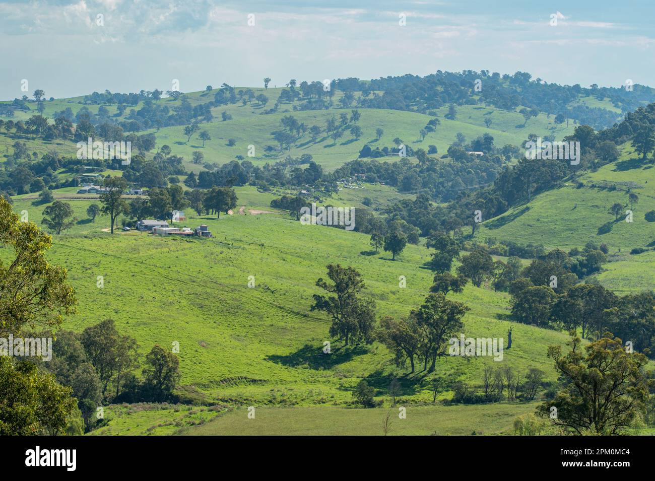 Driving in rural NSW during summer in southern Australia Stock Photo ...