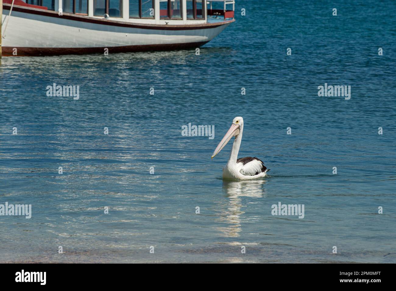 Wagonga inlet hi-res stock photography and images - Alamy