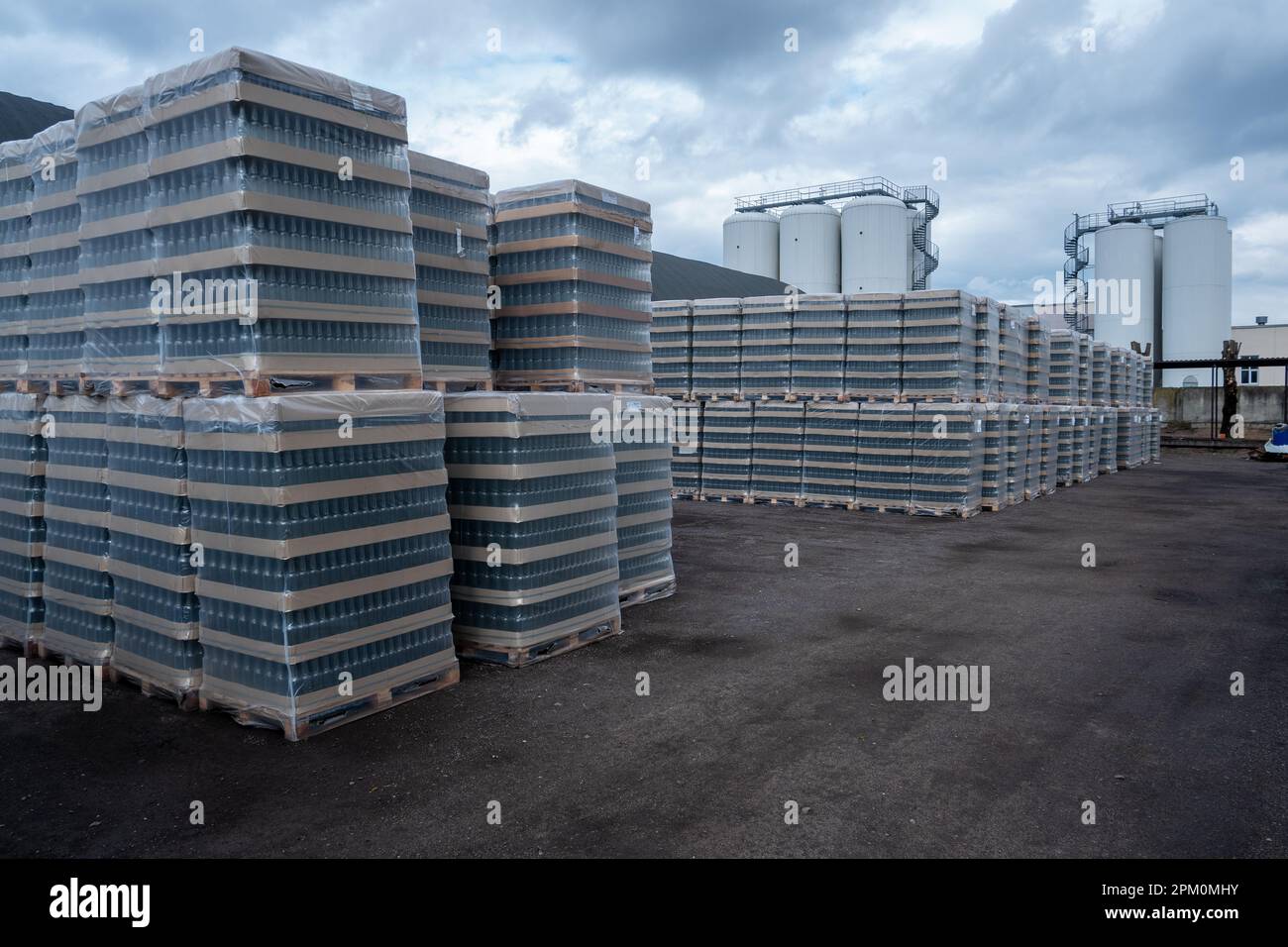 Production racks of packaging for empty beer bottles at a brewery Stock ...