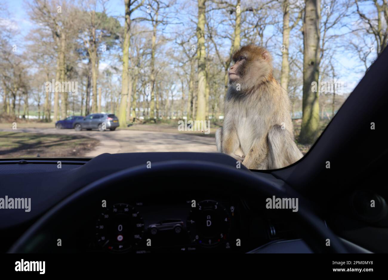 Image ©Licensed to Parsons Media. 03/04/2023. London, United Kingdom ...