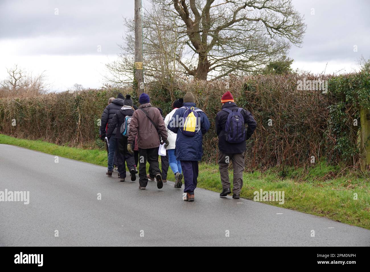 A group of walkers in the British countryside walking along a country ...