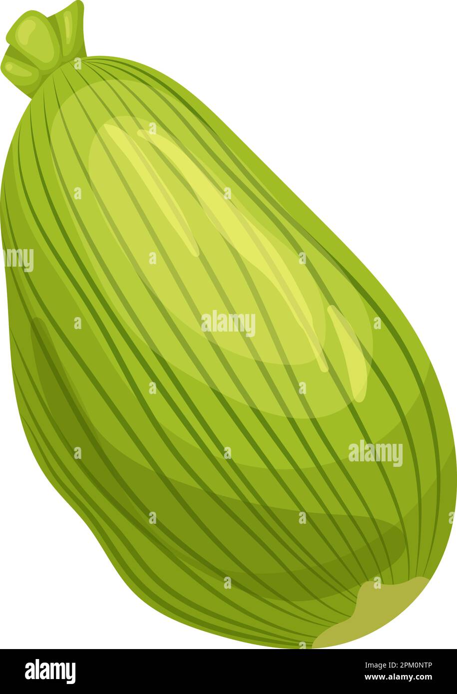 cardamom green ingredient cartoon vector illustration Stock Vector ...