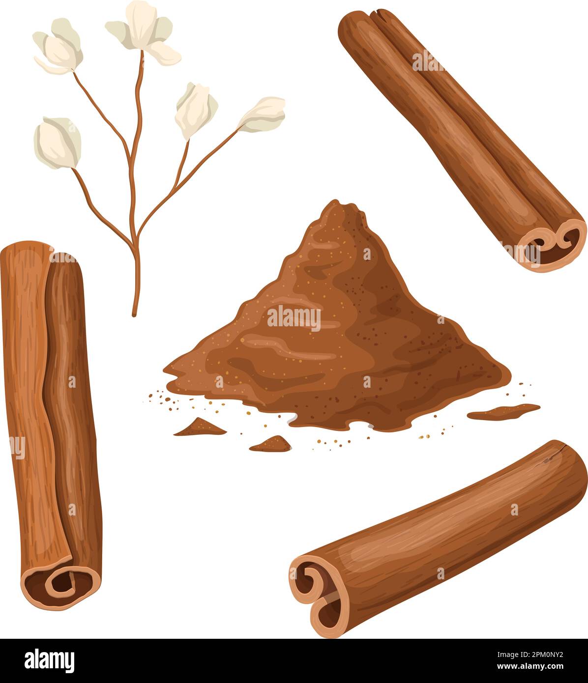 cinnamon stick spice set cartoon vector illustration Stock Vector Image ...