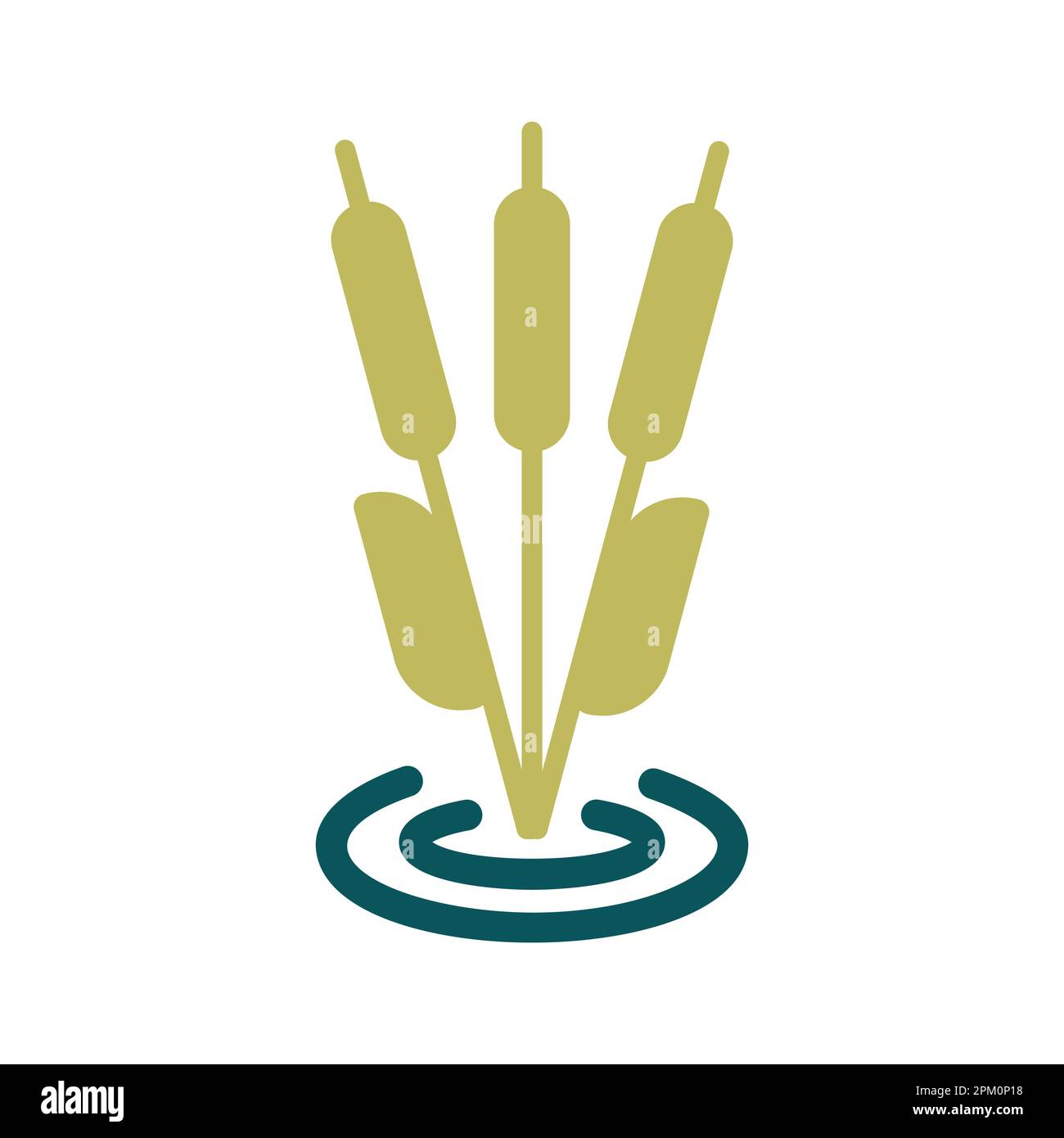 Reeds plant vector icon. Nature sign. Graph symbol for travel and ...