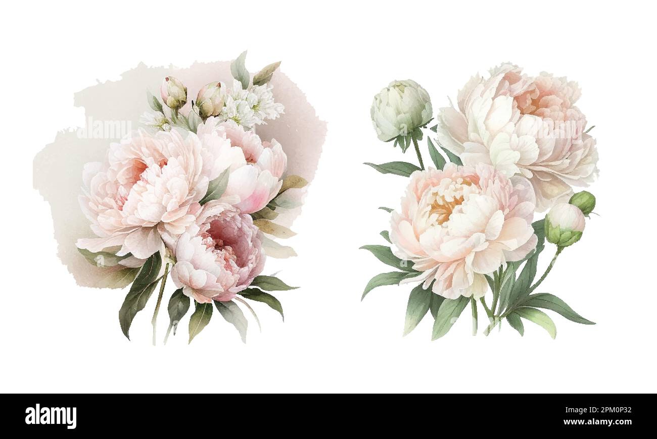 Set of vintage floral vector bouquet of peonies flowers, botanical ...