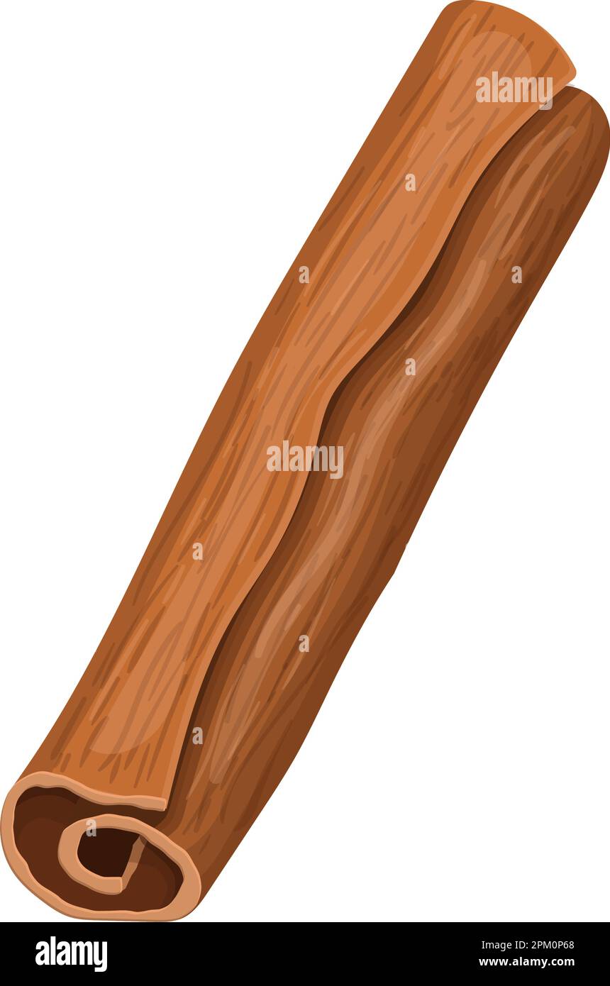cinnamon stick food cartoon vector illustration Stock Vector Image ...