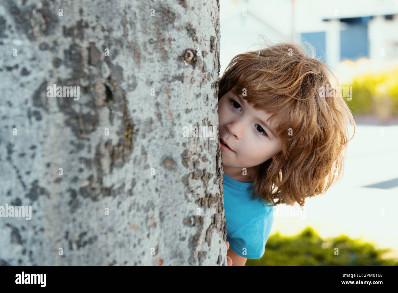 Children playing hide and seek. Peekaboo. Little kid hiding by tree ...