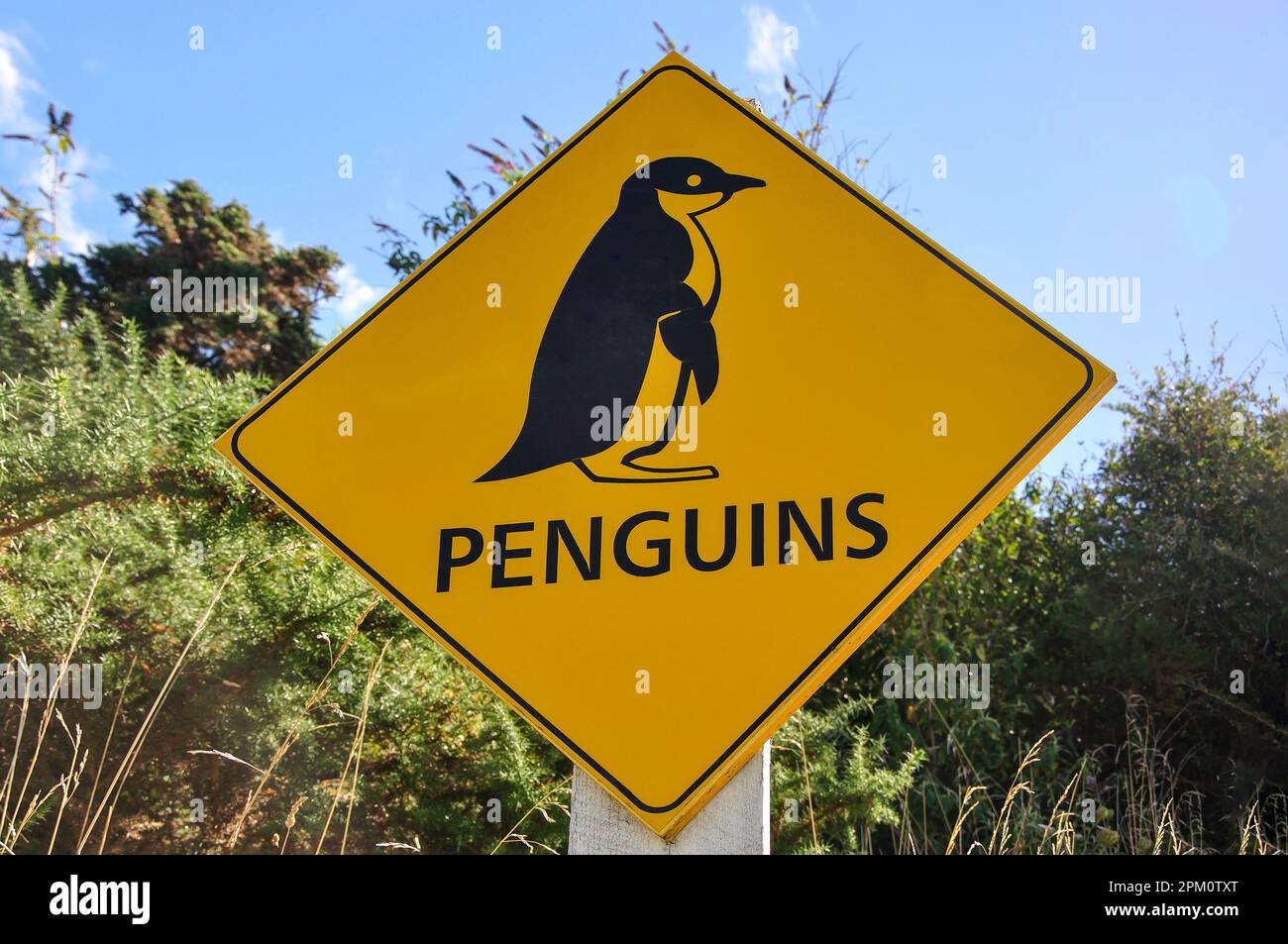 Penguin sign, Totaranui Beach, Abel Tasman National Park, Golden Bay ...