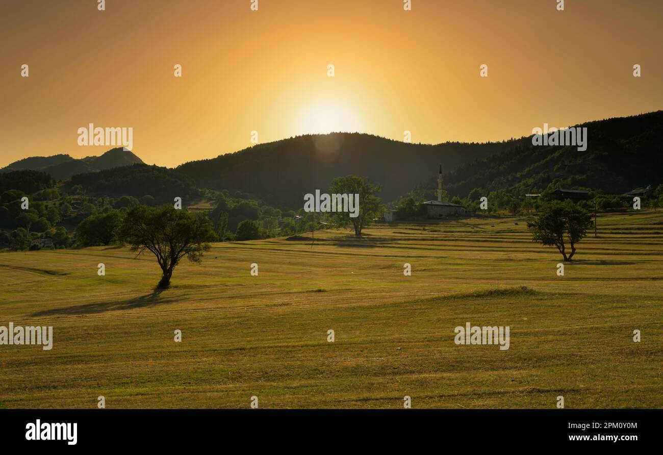 A rural village in Türkiye at sunset. Farmland and mosque. A beautiful ...