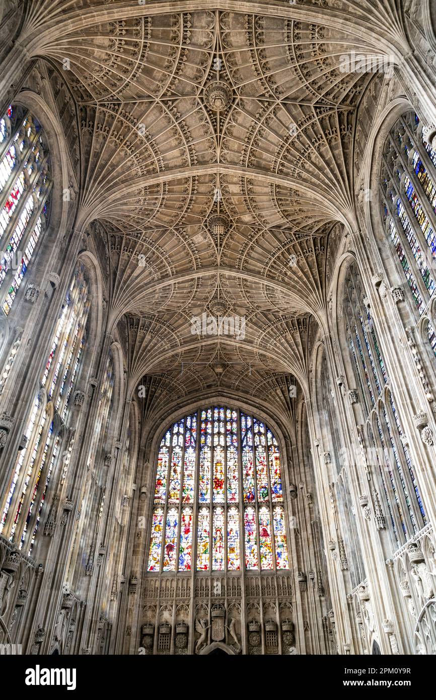 Interior stained glass windows and fan vault ceiling of King's College ...