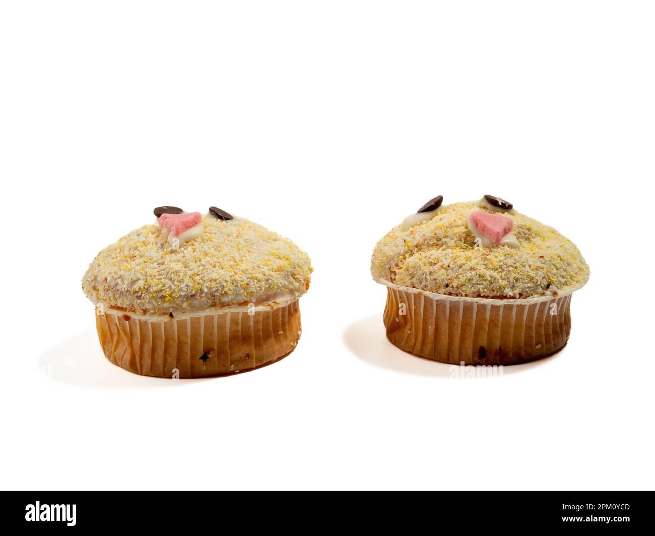 Muffin isolated on white background. Delicious muffin. Close-up Stock ...