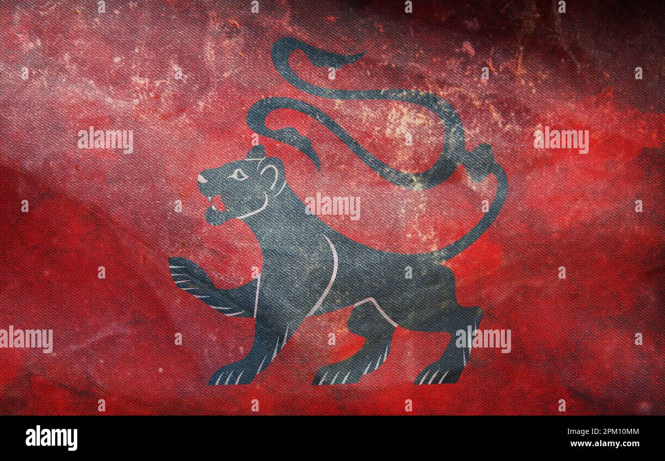 Top view of retro flag Radlow, Poland with grunge texture. Polish ...